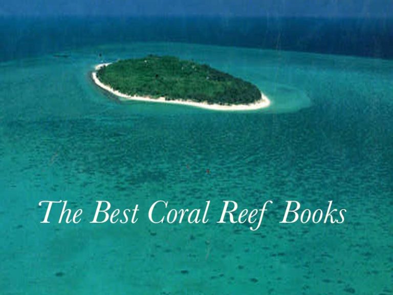The Best Books About Coral Reefs - Book Scrolling