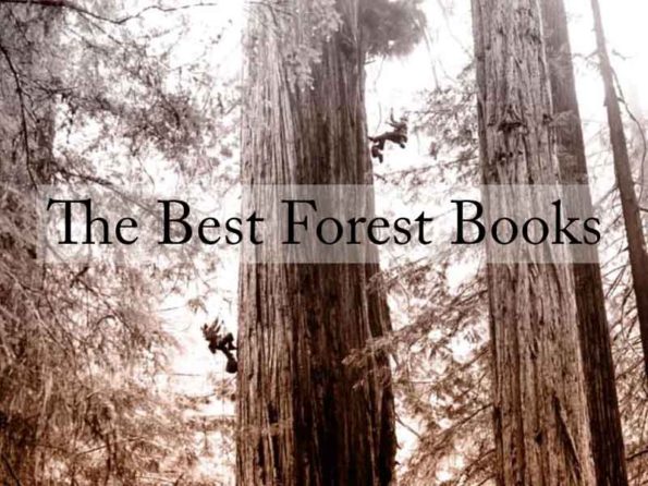 The Best Books About Forests & Forestry - Book Scrolling