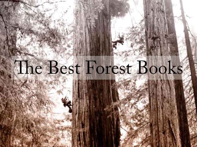 The Best Books About Forests & Forestry - Book Scrolling