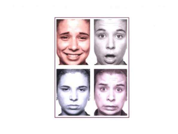 The Best Books About Body Language - Book Scrolling