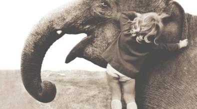 The Best Books About And Featuring Elephants - Book Scrolling